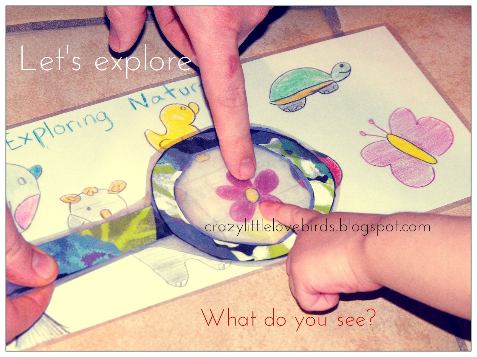 Fun little exploring activity for little ones. :)