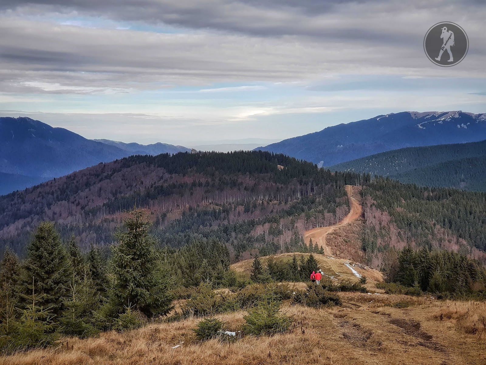 Traseu în munții Baiului: Azuga, Vârful Clăbucetul Taurului, cabana ...