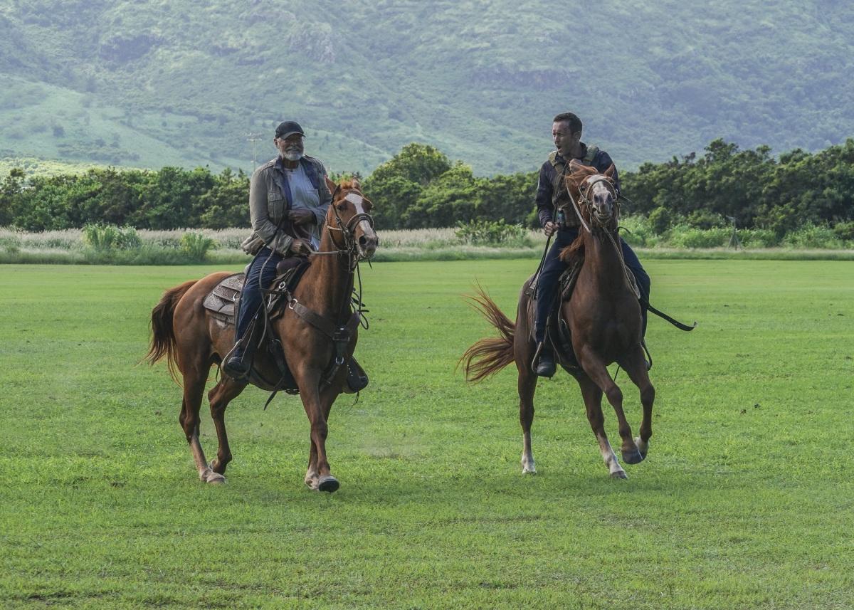 Earth and Space News: Hawaiian Pili Grass Houses: Hawaii Five-0 2010 ...