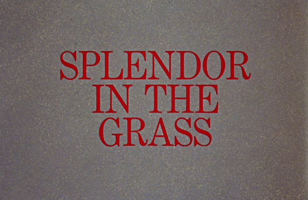 Gems: Splendor in the Grass