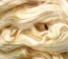 Textileinfo - HUB OF TEXTILE INFORMATION AND JOBS: LYOCELL FIBER (TENCEL)