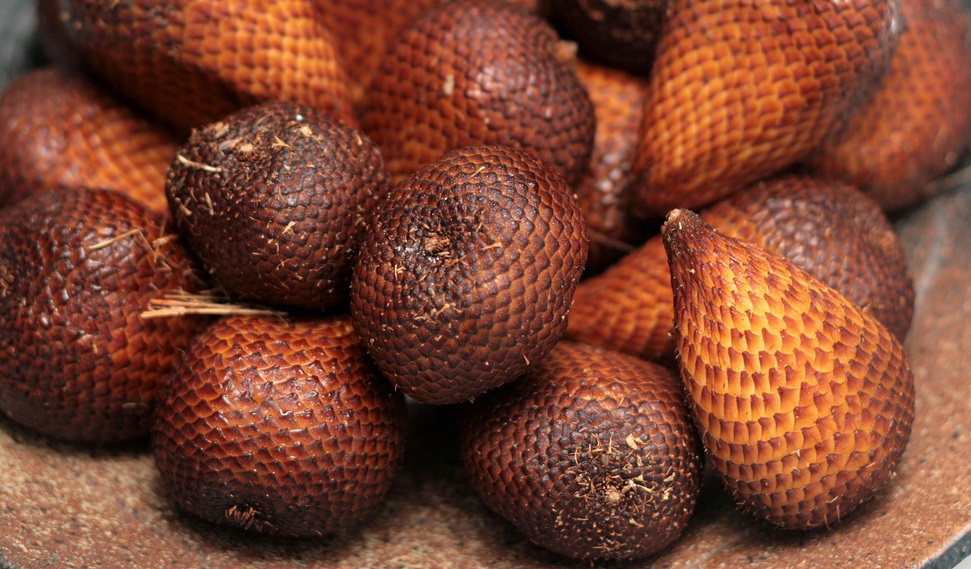 Kisah Filosofi Dari Buah Salak | tukik merah