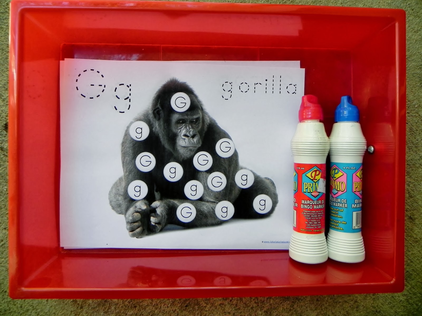 The Fantastic Five: Animal ABCs: Letter G