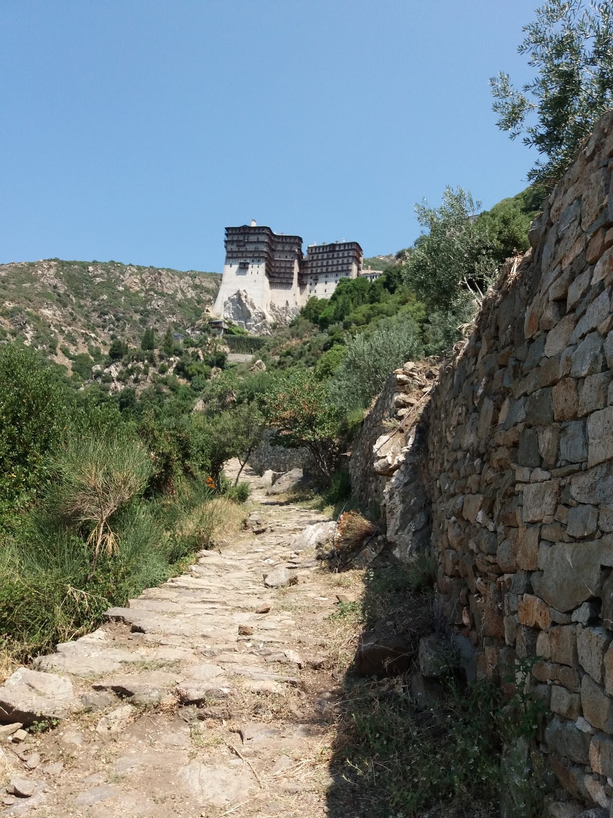 Βαγγέλης Θ.Κακατσάκης: ΕΠΙΣΚΕΨΕΙΣ