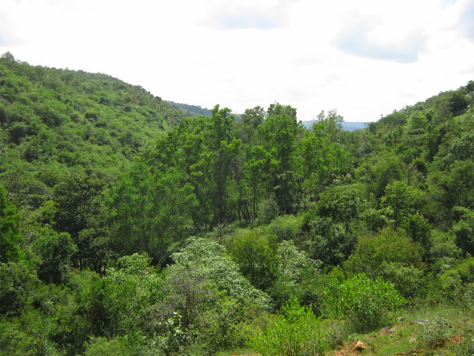 MuthyalaMaduvu , Pearl Valley , Anekal , near Bengaluru