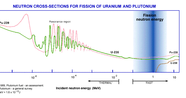 McCabism: Neural networks and the neutron transport equation