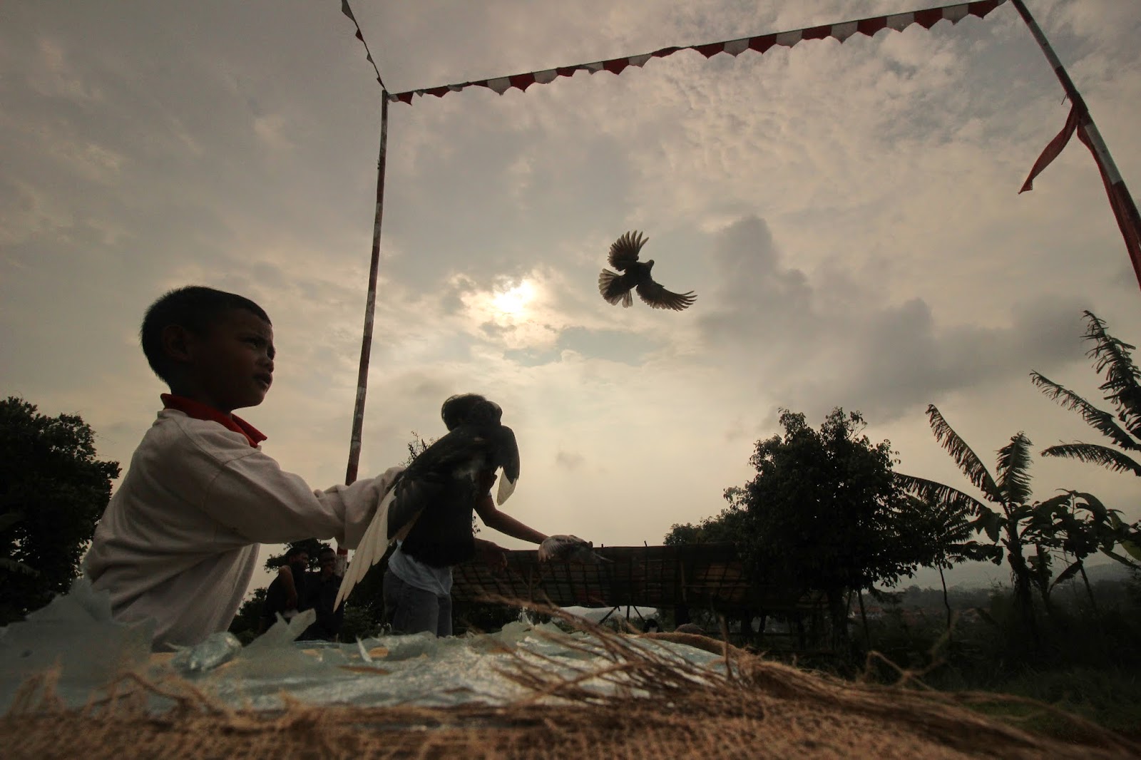 Balapan Merpati, Solusi Kepenatan ~ Potret Indonesia News Magazine