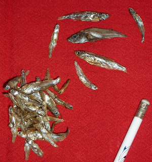 America to Tanzania and Back Again: Dagaa