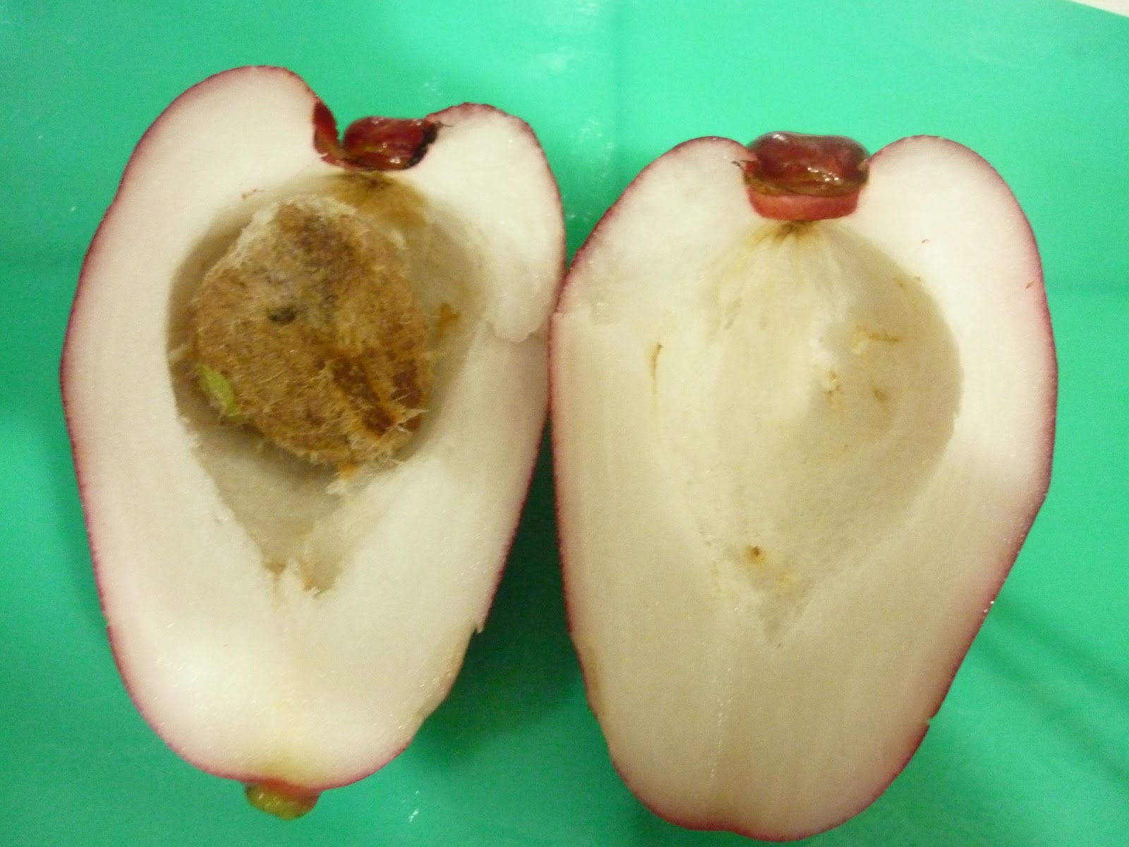 commuNICA: Fruit of the day: pera