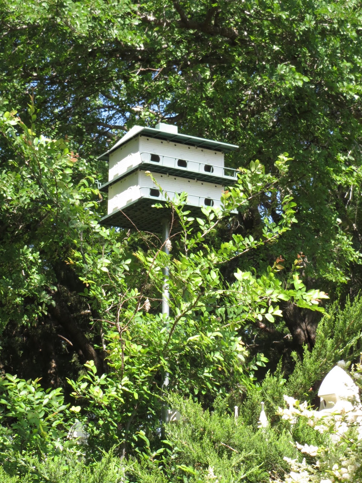 How a female aspie finds her niche in life