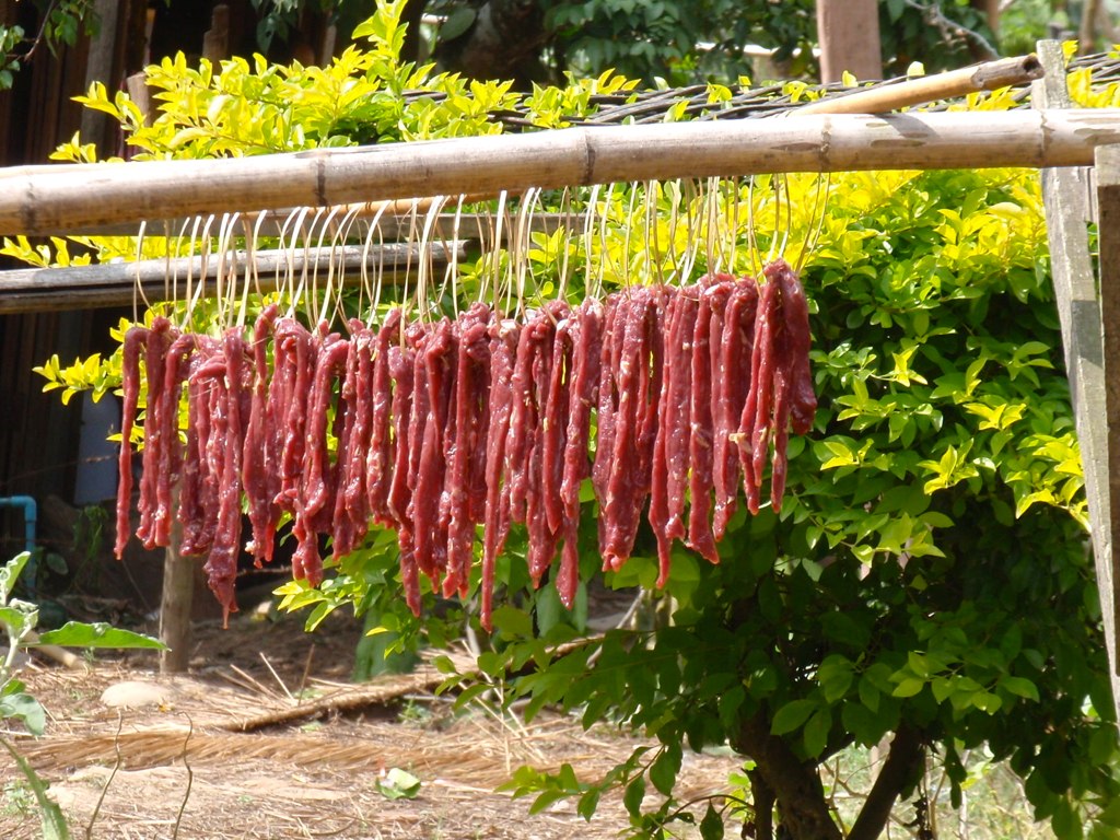 Heroes, Heroines, and History: Food Preservation from Yesteryear.