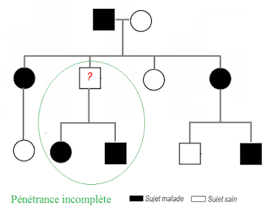 Transmission de maladie autosomique dominante | Bio faculté
