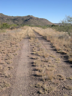 Texas Mountain Trail Daily Photo: Walk the original road!