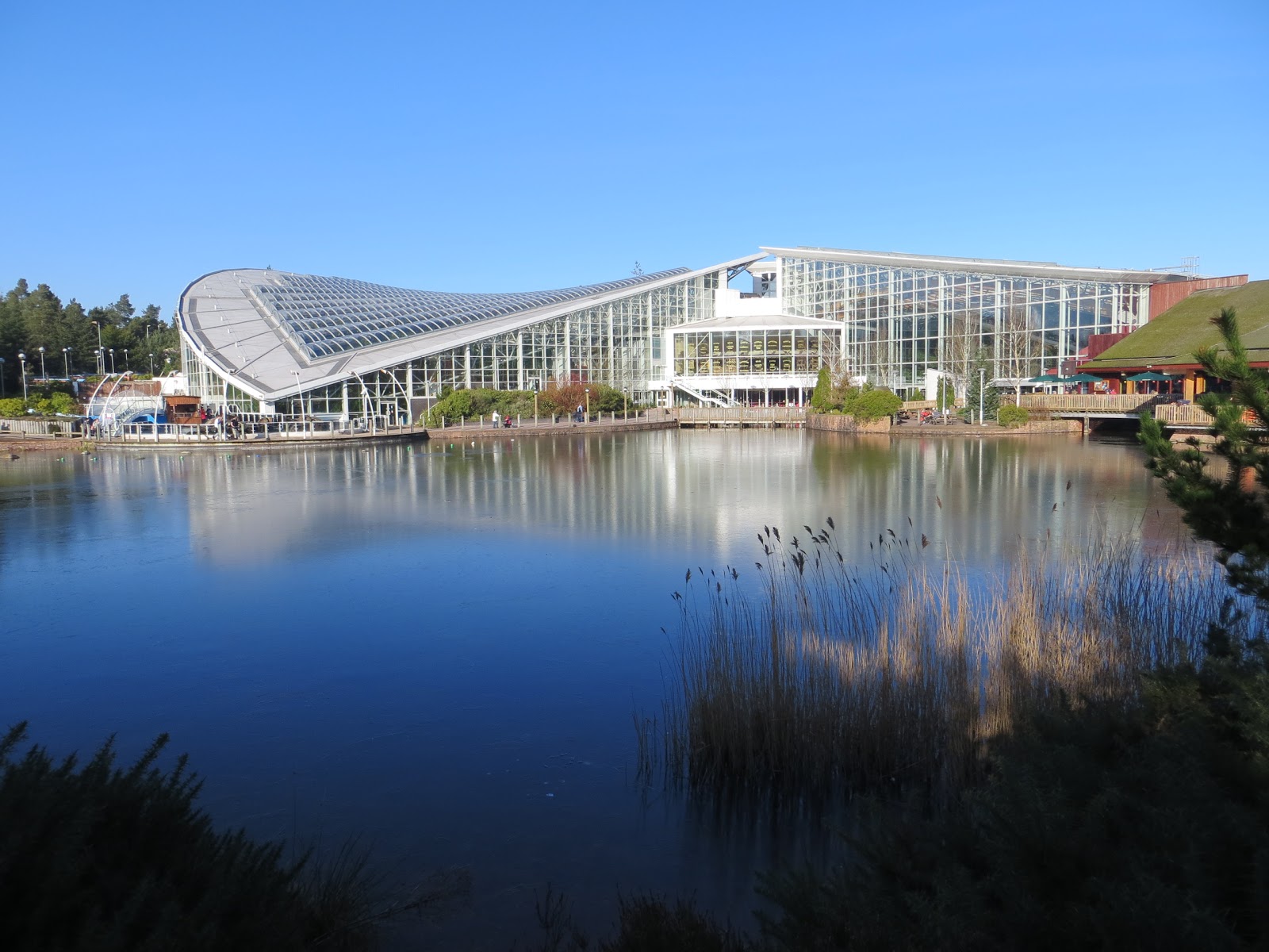 A half term holiday at Centre Parcs, Cumbria