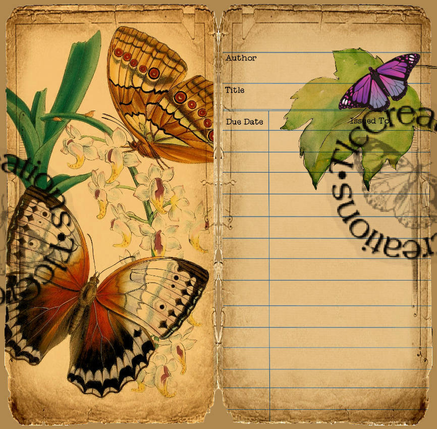 Create with TLC: Never Hide Your Wings....New in Store....