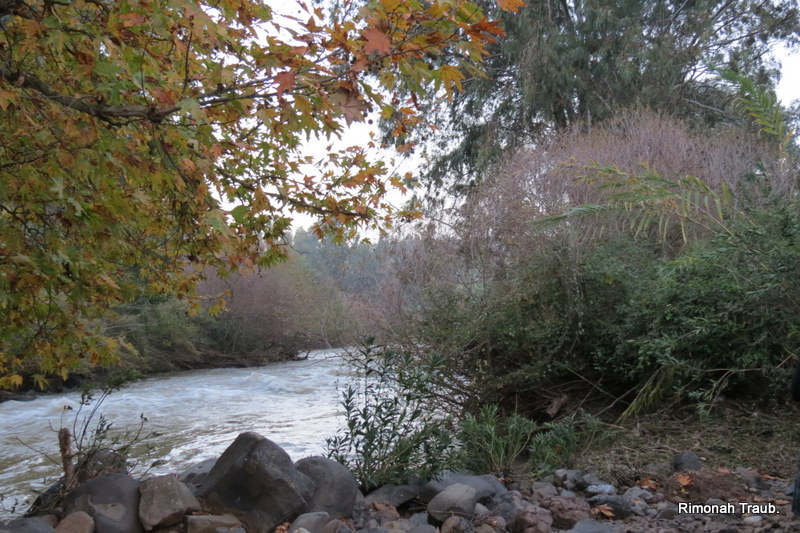 Let us tour Eretz Yisroel.: Yarden Harari — The Jordan Highlands©