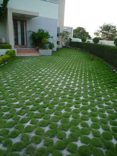Design Rumah Idaman: Kombinasi Paving Block Dengan Rumput Untuk Halaman ...