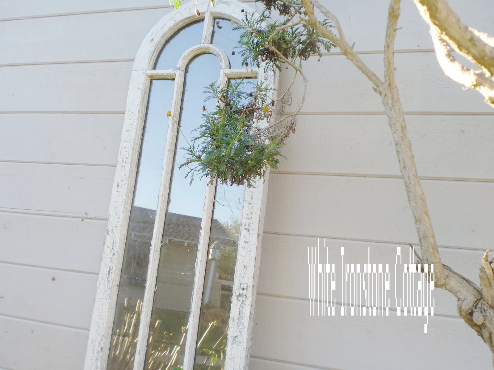 Vintage Garden Reflections | White Ironstone Cottage