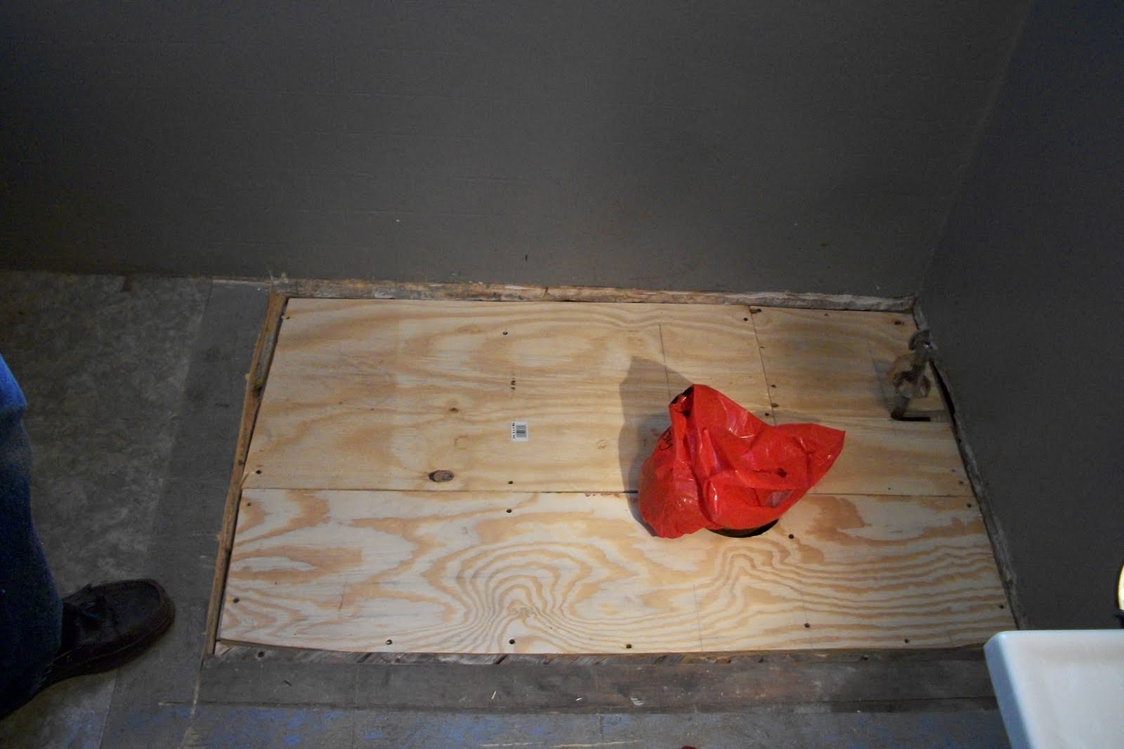 A Small House and a Large Garden: Tale of Toilet Triumph