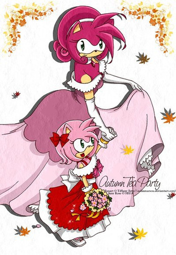 Amy Rose y yoo...: Capitulo 1 amy y su hermano shadow