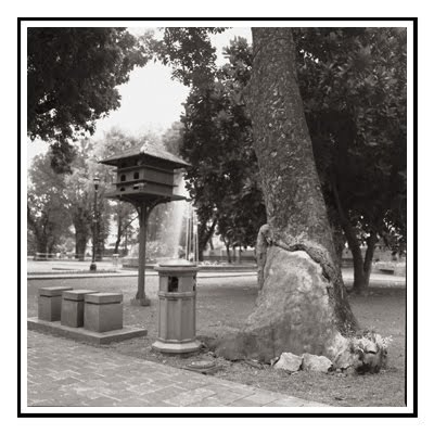 potodave: Photo Samples - Hasselblad 500 C/W + Hasselblad 60mm f3.5 CF T*