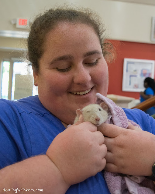 Healing Whiskers: Life of a Therapy Rat: Fall 2017