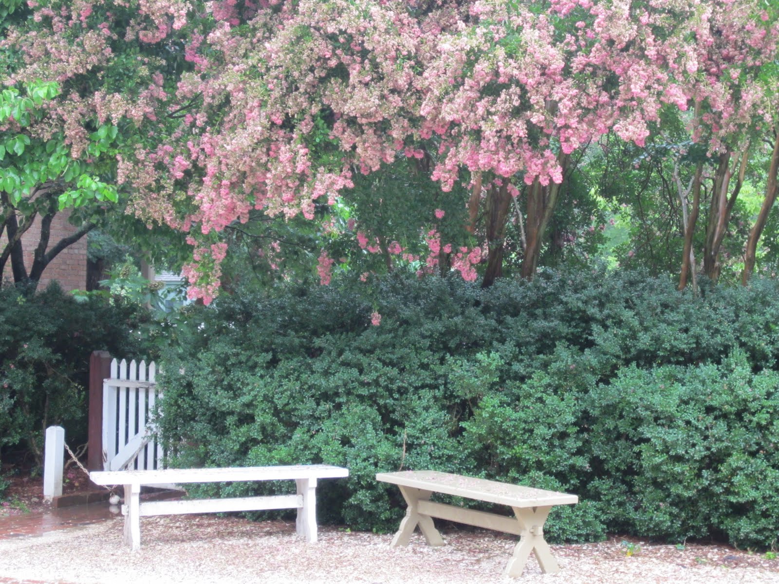 Revolutionary, My Dear George!: Who was Benjamin Powell?