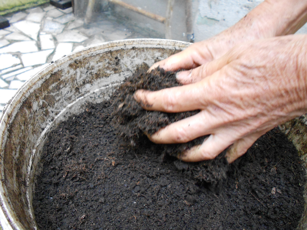 Vivoecia.com: Compostagem seca
