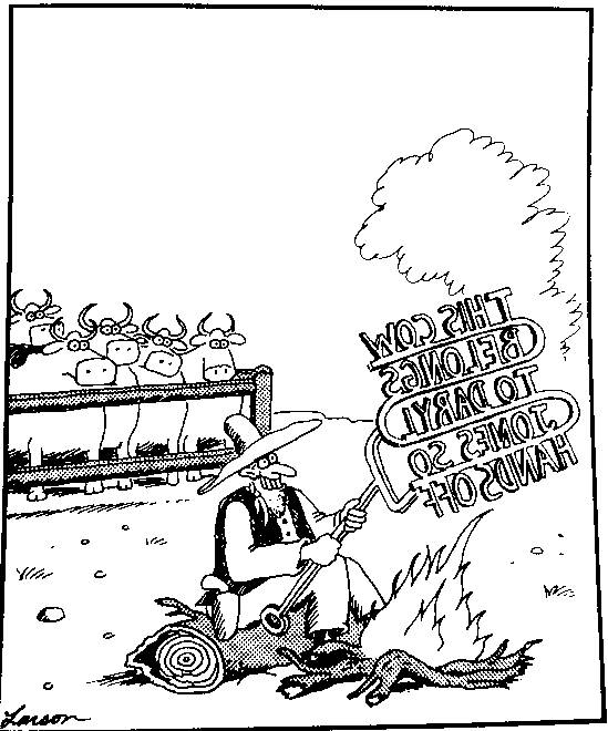 Music N' More: I Love Cows!!!!