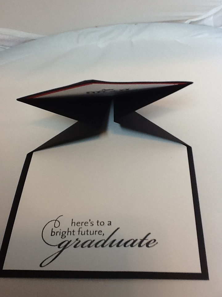 Stampin' Up Pure Gumption | Jan Girl