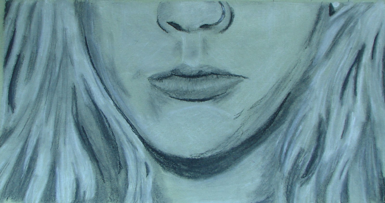 Hannah Gaskill AP Studio Art Projects