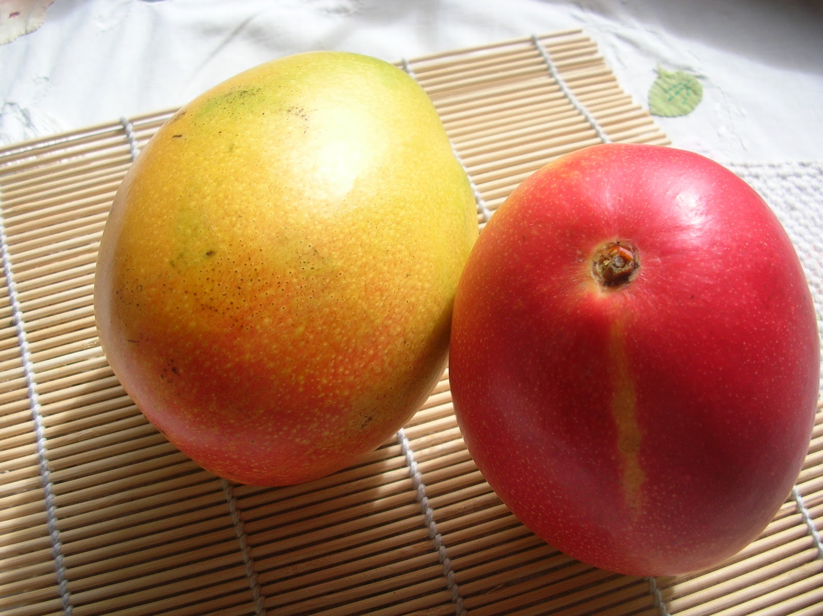 Mango (mangífera indica lennis)