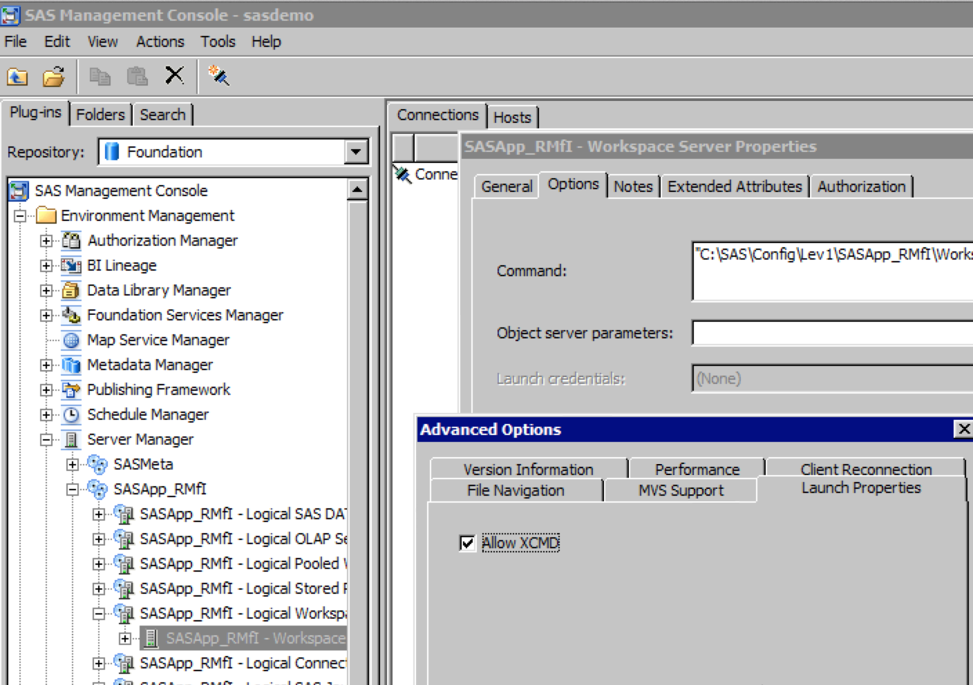 Allow Xcmd On The Workspace Server Raw Sas