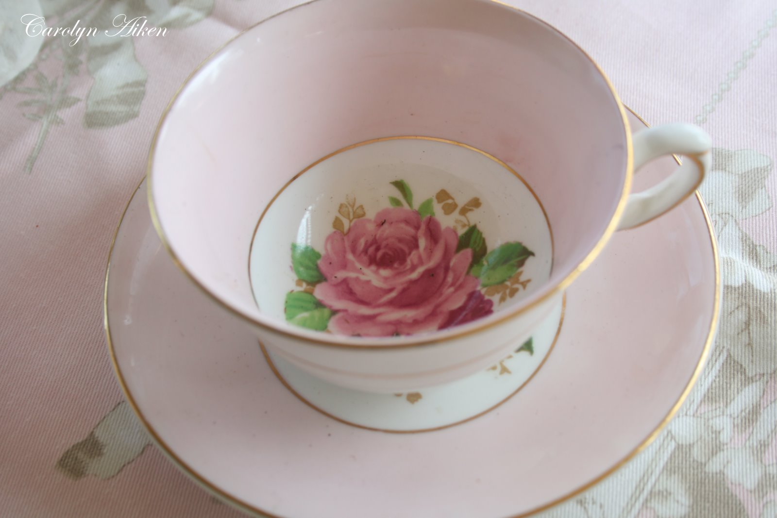 Aiken House & Gardens: Pink Dish Love!