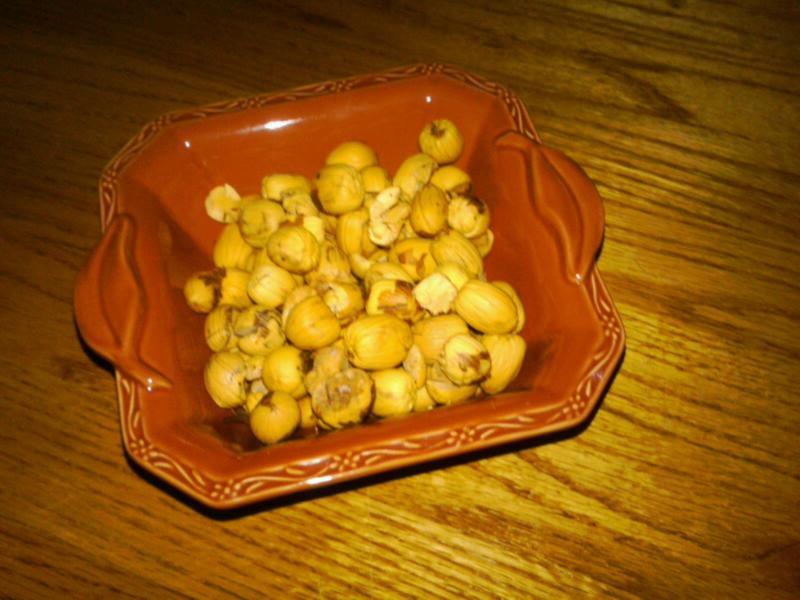 Oak Watch: Acorns Shelled