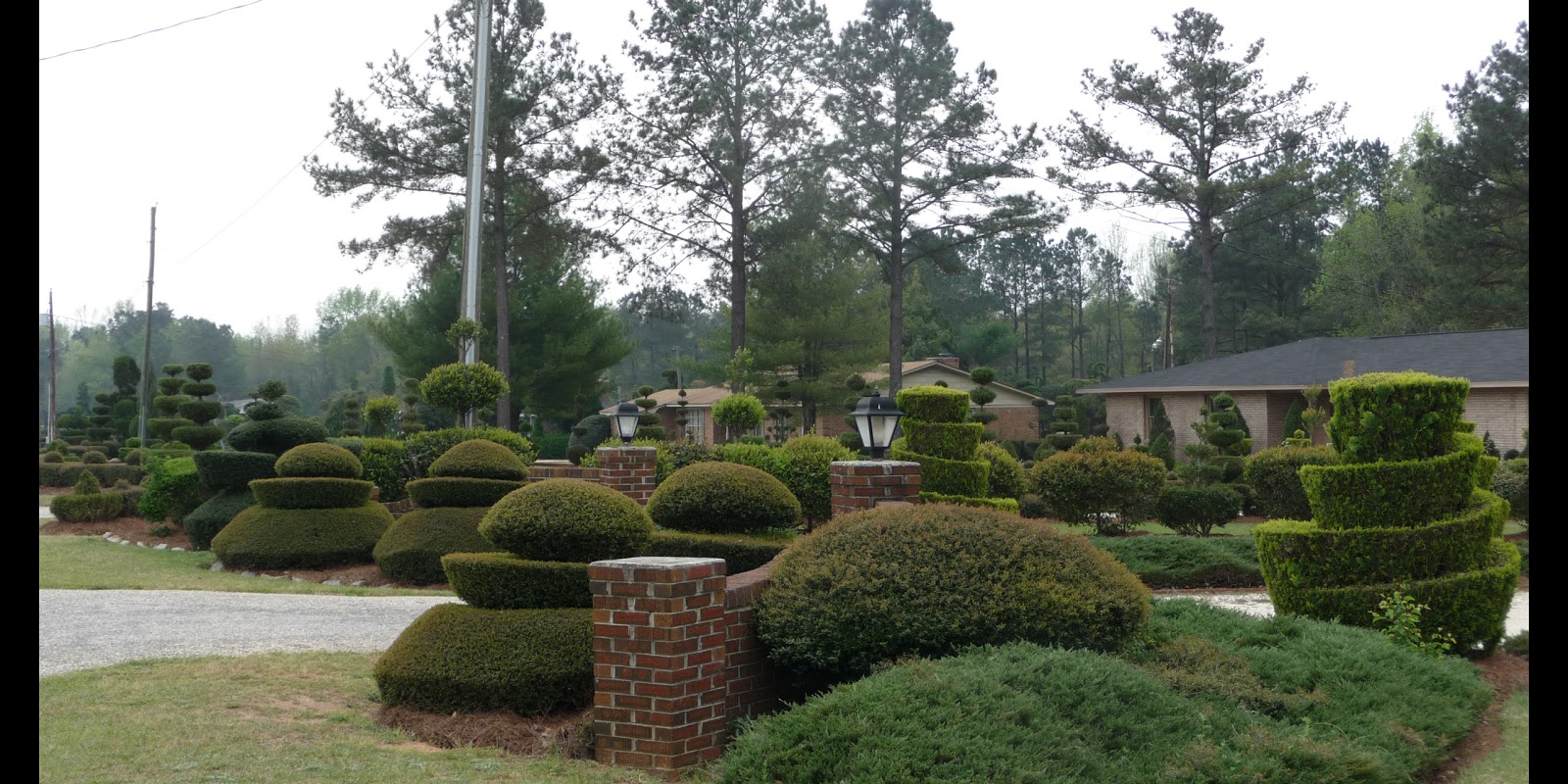 GALLERY O: A MINIATURE CONSERVATORY, “LAND ESCAPE” & PEARL’S GARDEN