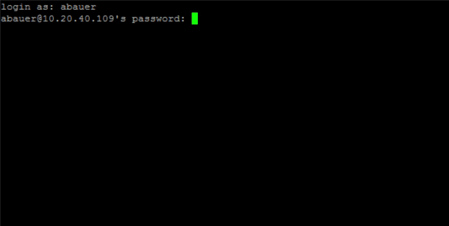 The Oracle at Delphi: Baking an Object Pascal and Raspberry Pie for the ...