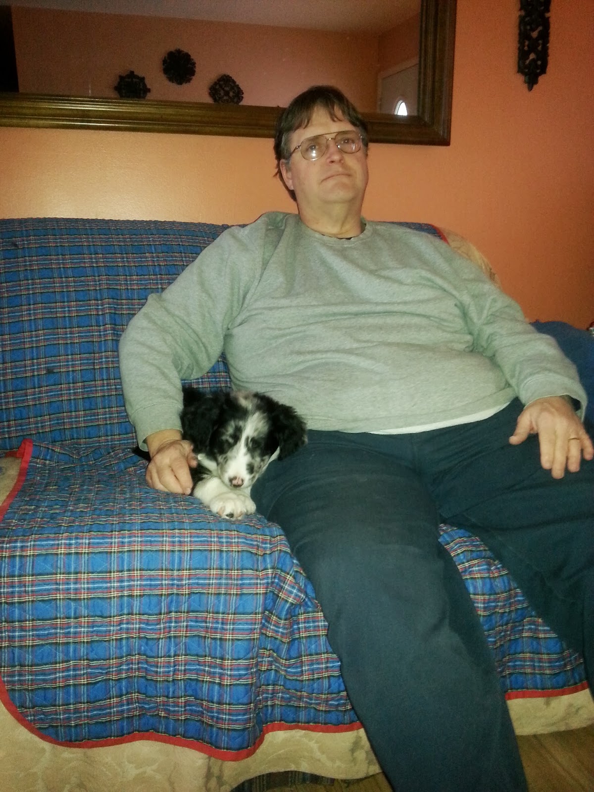 Raising Cinder, a Border Collie Puppy: Growing Up is Hard to Do