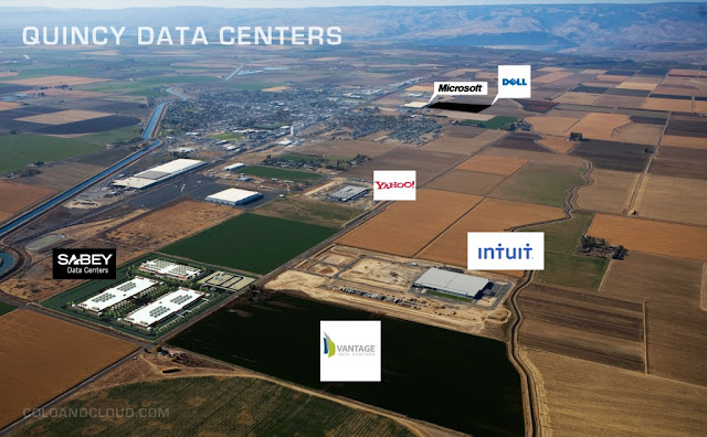 The Redwood Guardian: The Cloud versus the Gray Whale