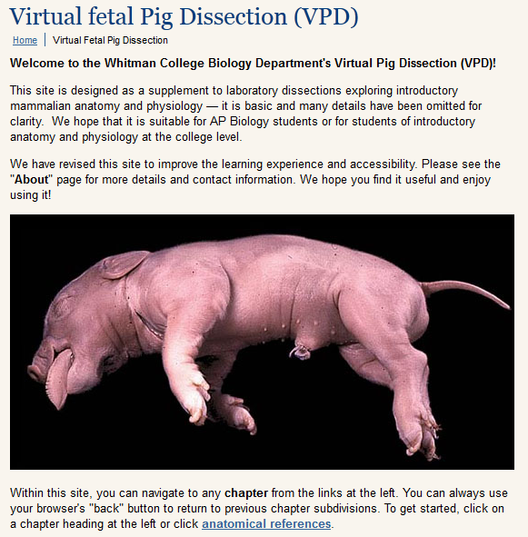 Download Free Software Virtual Dissect Game Freewaregeorgia