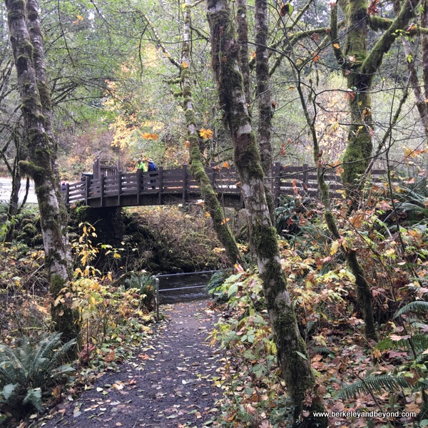 Travels With Carole: Sublimity, Oregon: Silver Falls State Park; things ...