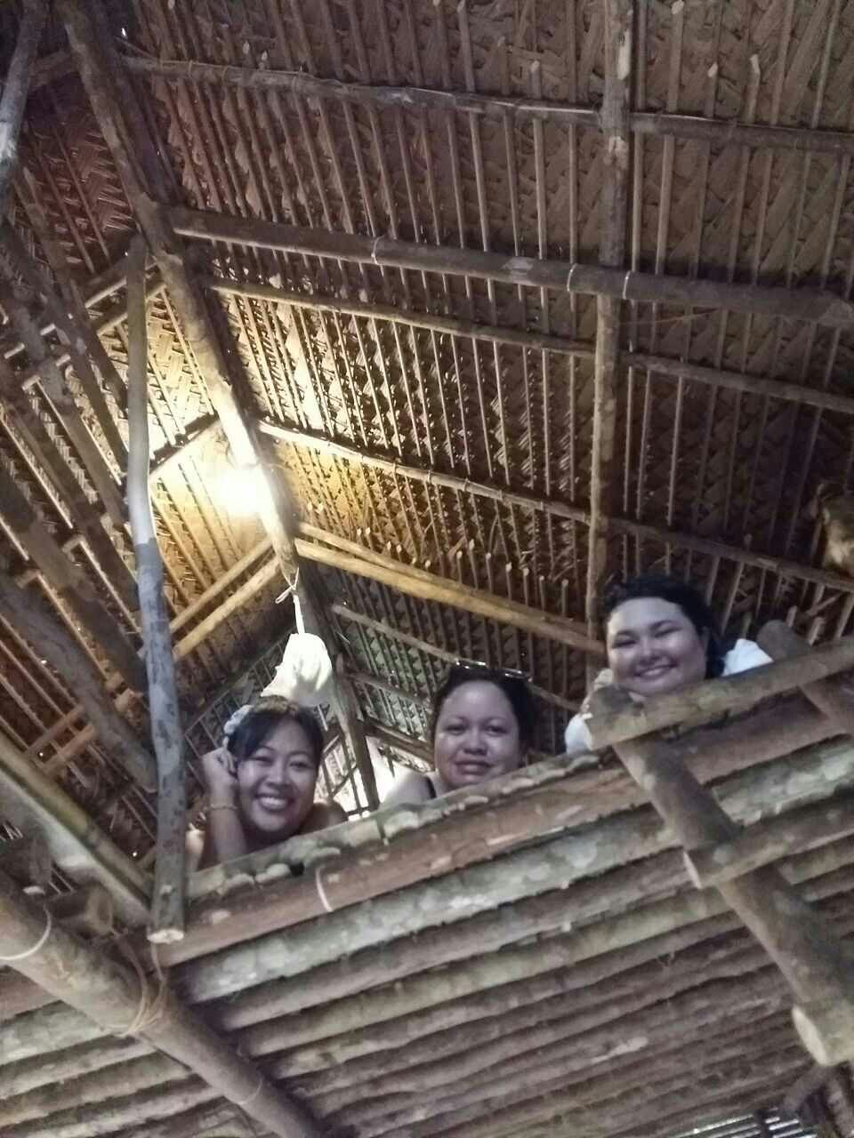 Hydrangea lover's: Rainforest Tree House, Johor