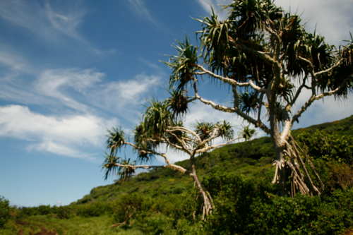 Historical sites of my island: LAKUFA'ANGA