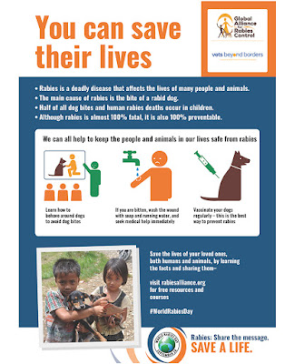 World Rabies Day is on September 28 | Australian Dog Lover