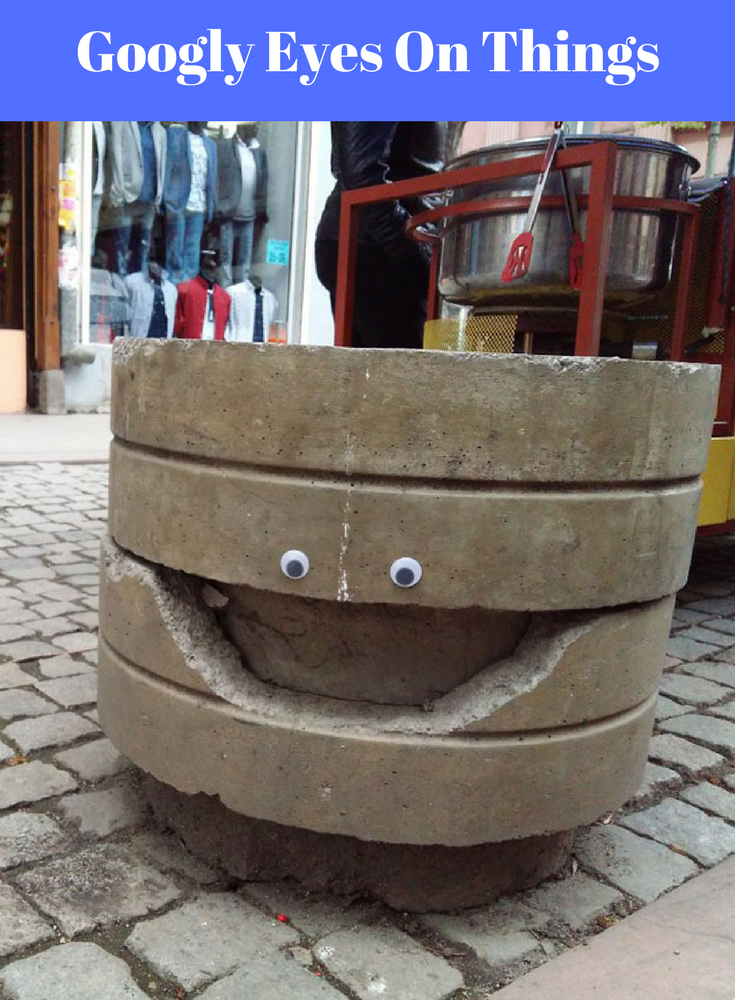 Googly Eyes On Things | My Crazy Email