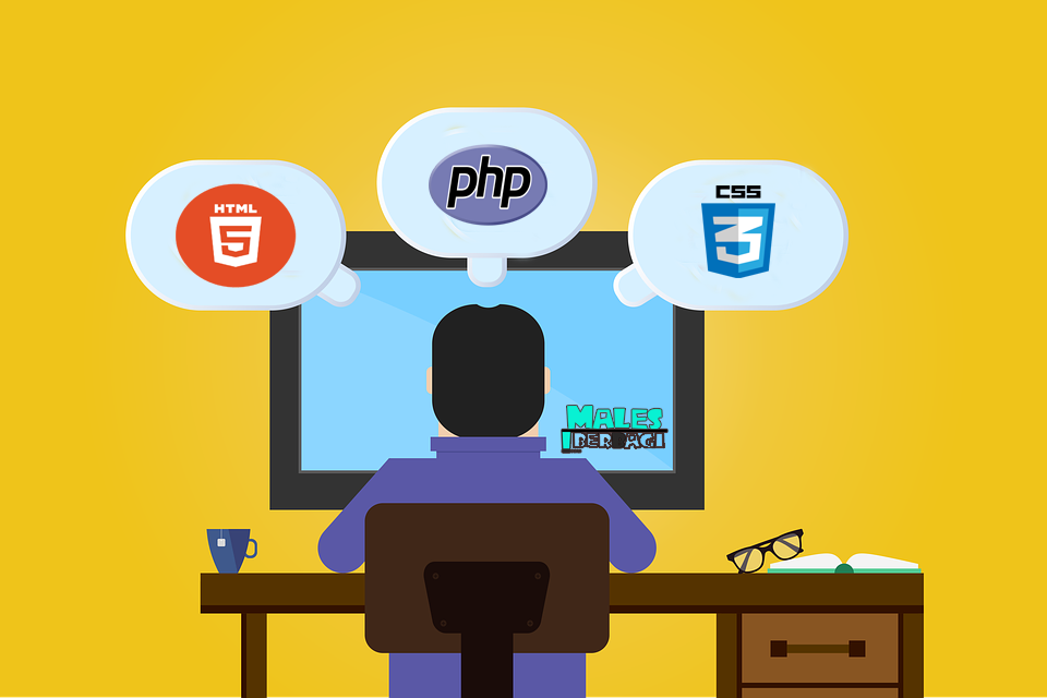 Belajar Menjadi Web Developer - Males Berbagi
