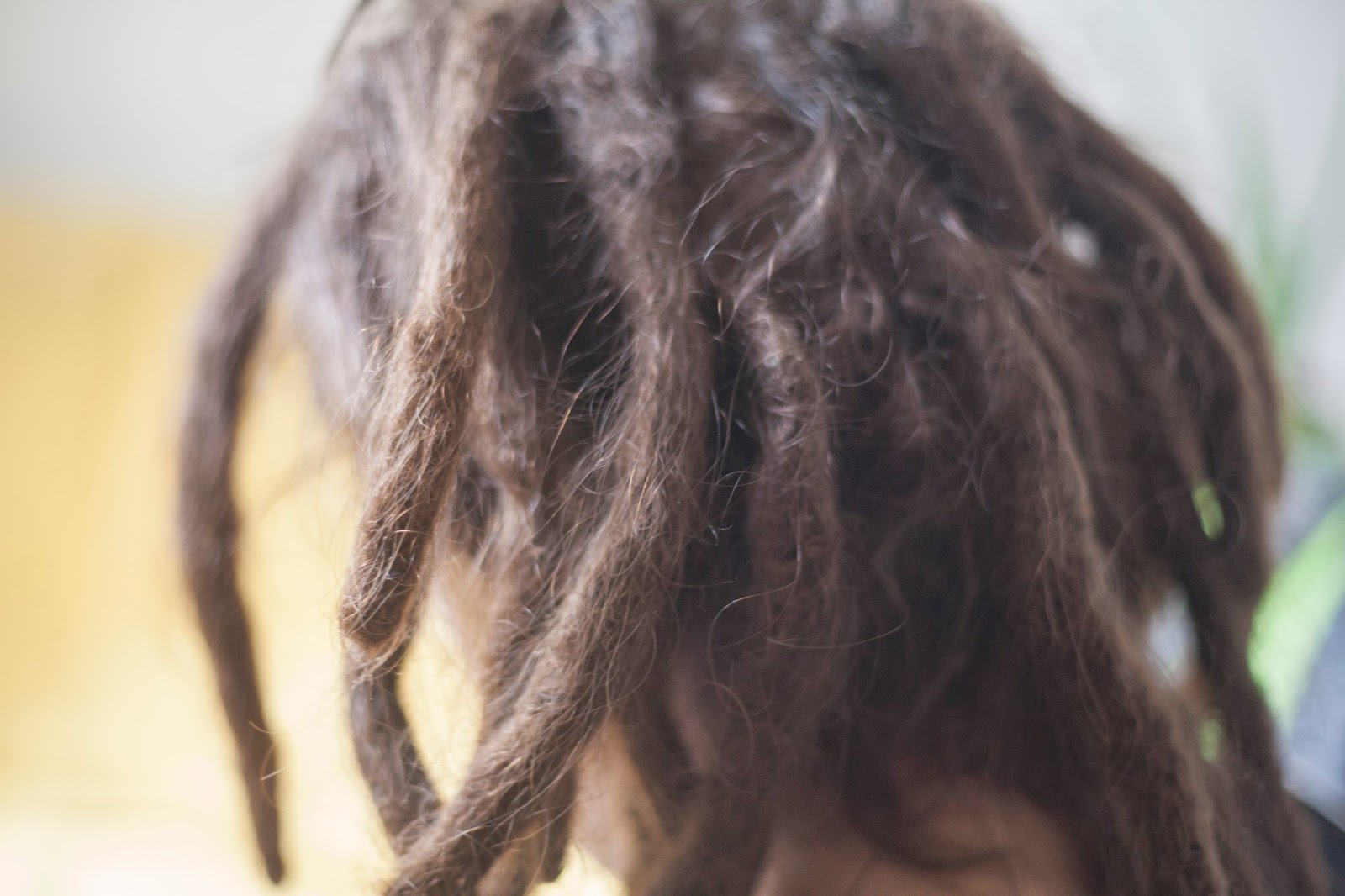 i-rastas: ARREGLOS