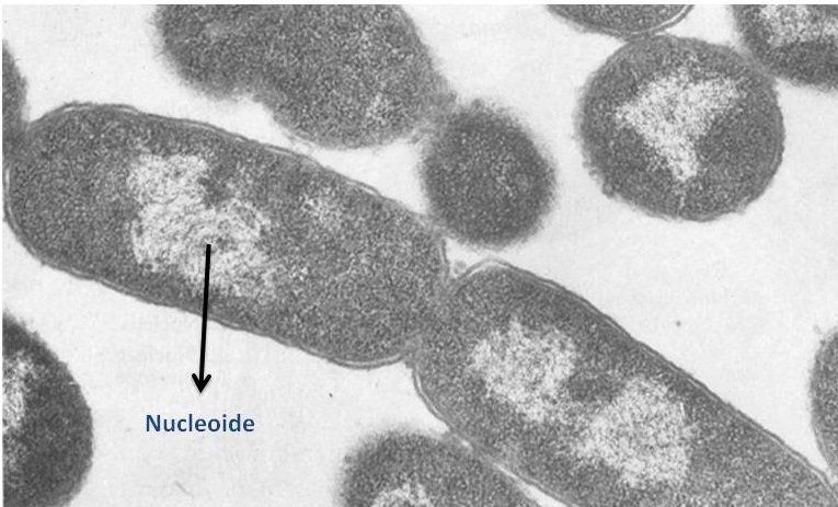 Ma. Evelyn: Unidad 3