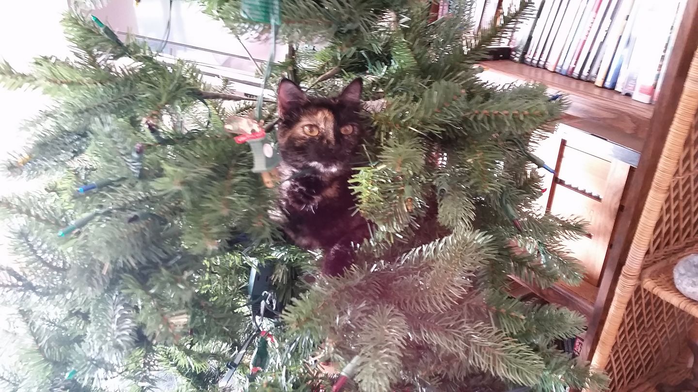 Grace's Mosaic Moments: 2018