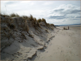 Camerons Cottage Diary Loch Ness: Culbin sands Nature Reserve.